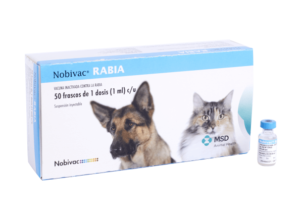 Nobivac – Una línea completa de vacunas caninas y felinas